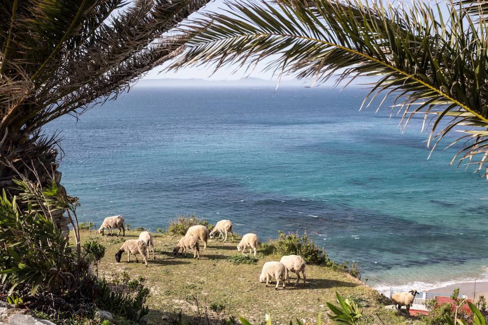 Lieux de tourisme — Dar Tus